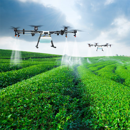 NATIONAL SYMPOSIUM ON AGRO TECHNOLOGY AND RURAL SCIENCES (NSATRS – 2021 ...